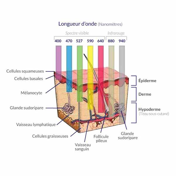 Photomodulation et régénération cellulaire LED Esthétique